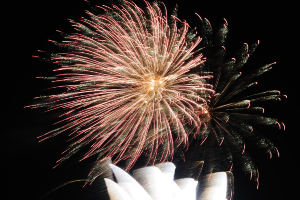 Morguefile.com free photographs for commercial use.