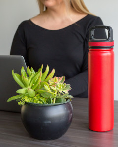 Morguefile.com free photographs for commercial use.